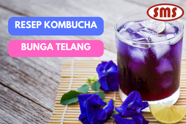 Cara Membuat Kombucha Bunga Telang yang Lezat dan Menyegarkan