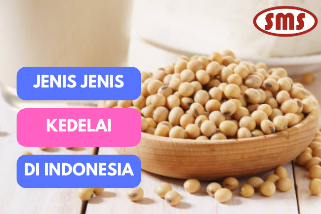 Mengetahu Jenis Jenis Kedelai yang Banyak Digunakan