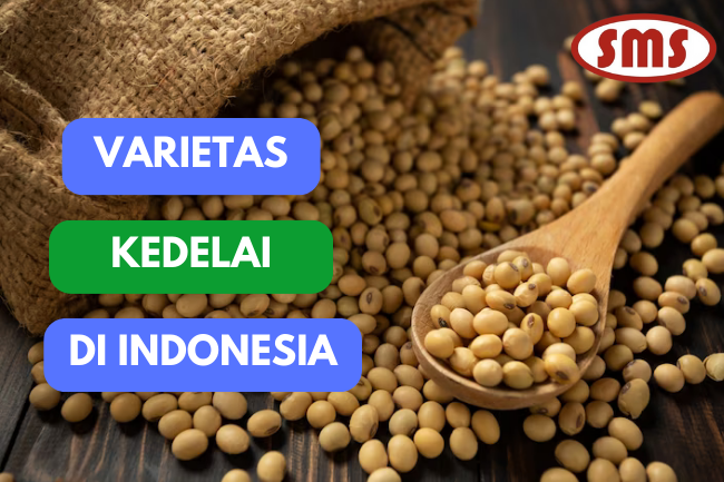 Keanekaragaman Kedelai: Varietas Yang Tumbuh Di Indonesia