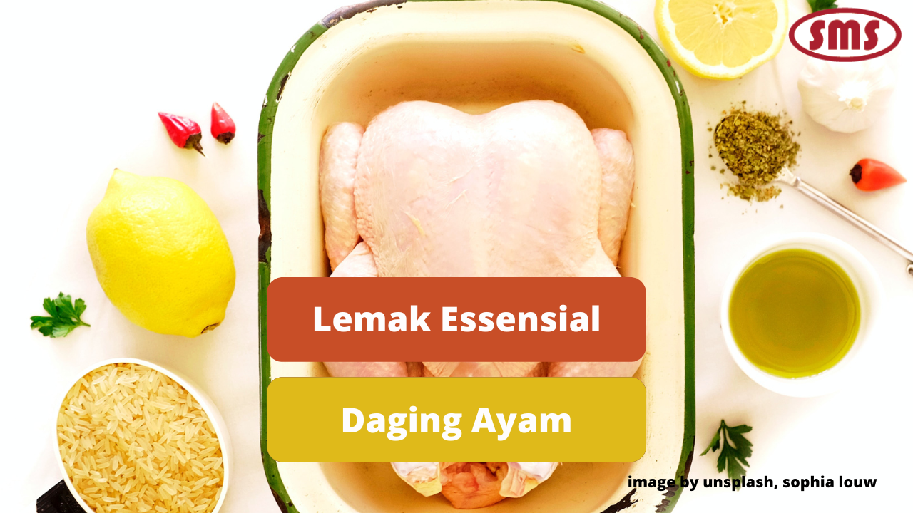 Pentingnya Lemak Essensial Dalam Daging Ayam Bagi Tubuh