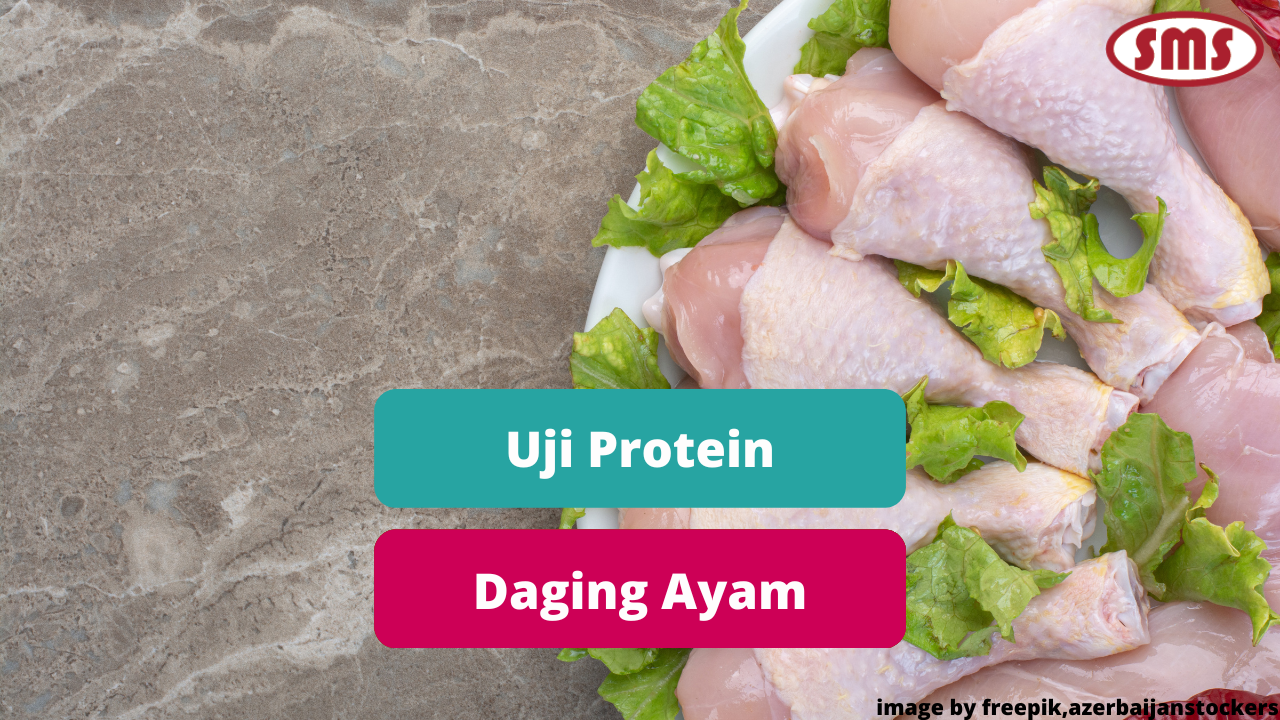 Uji Kandungan Protein Daging Ayam Komersial