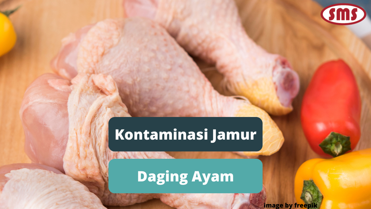 Waspadai Timbulnya Jamur Pada Daging Ayam