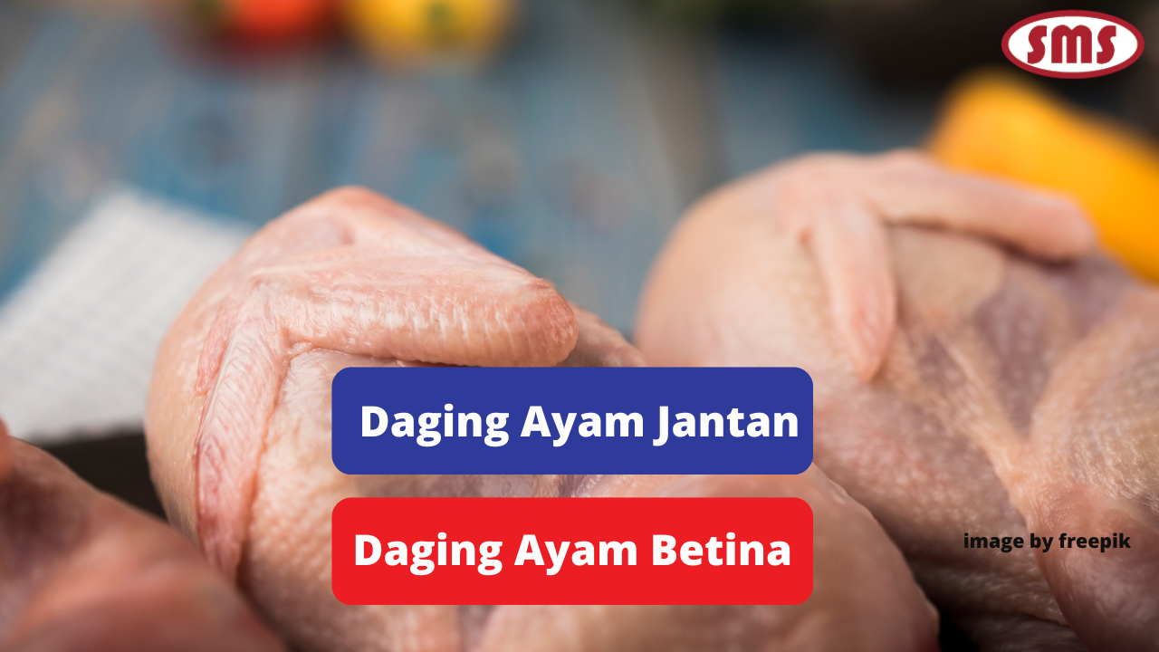 Cermati Perbedaan Daging Ayam Jantan dan Betina