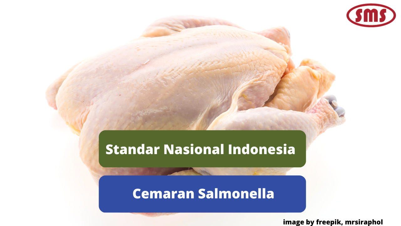 Berikut Ini Ulasan Mengenai SNI Cemaran Salmonella Pada Daging Ayam