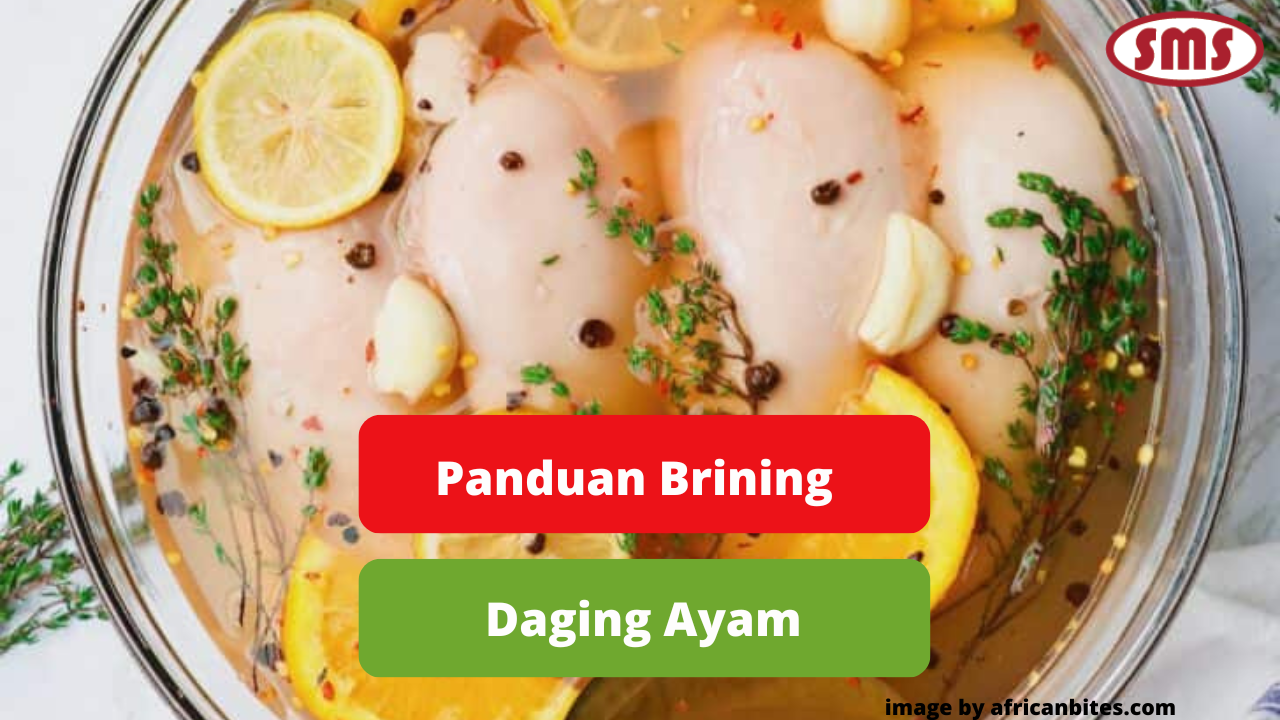 Inilah Panduan Dalam Brining Daging Ayam Broiler