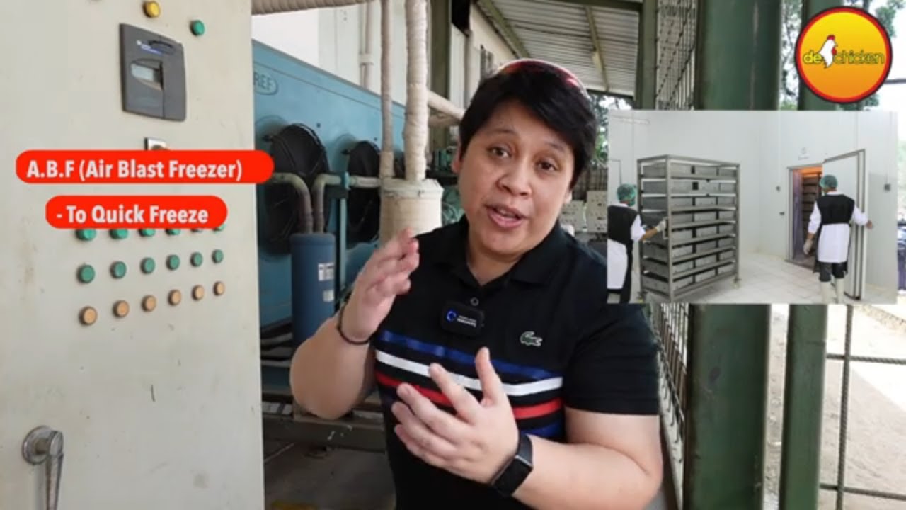 What is the Air Blast Freezer machine look like from the outside DeChicken